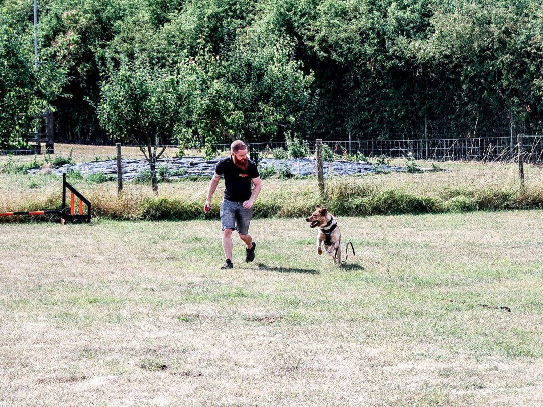 About - Pet Professional Network