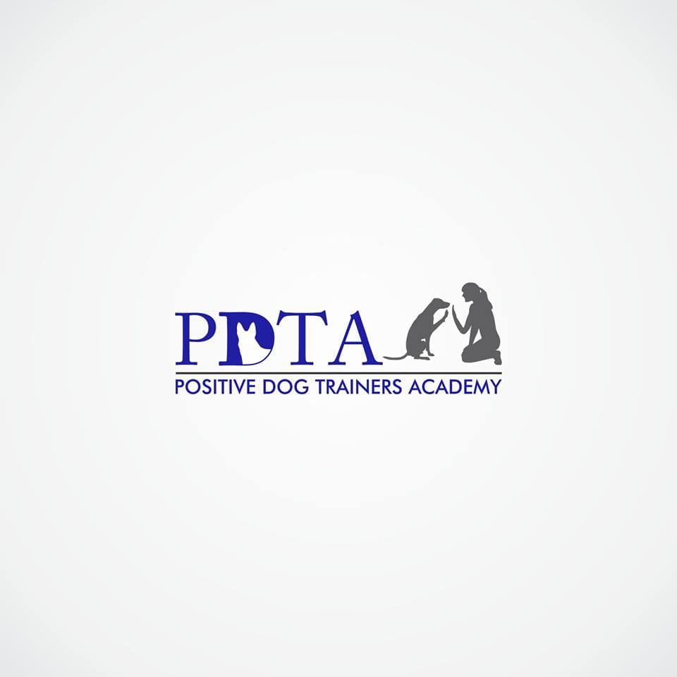 Positive Dog Training Academy - Pet Professional Network