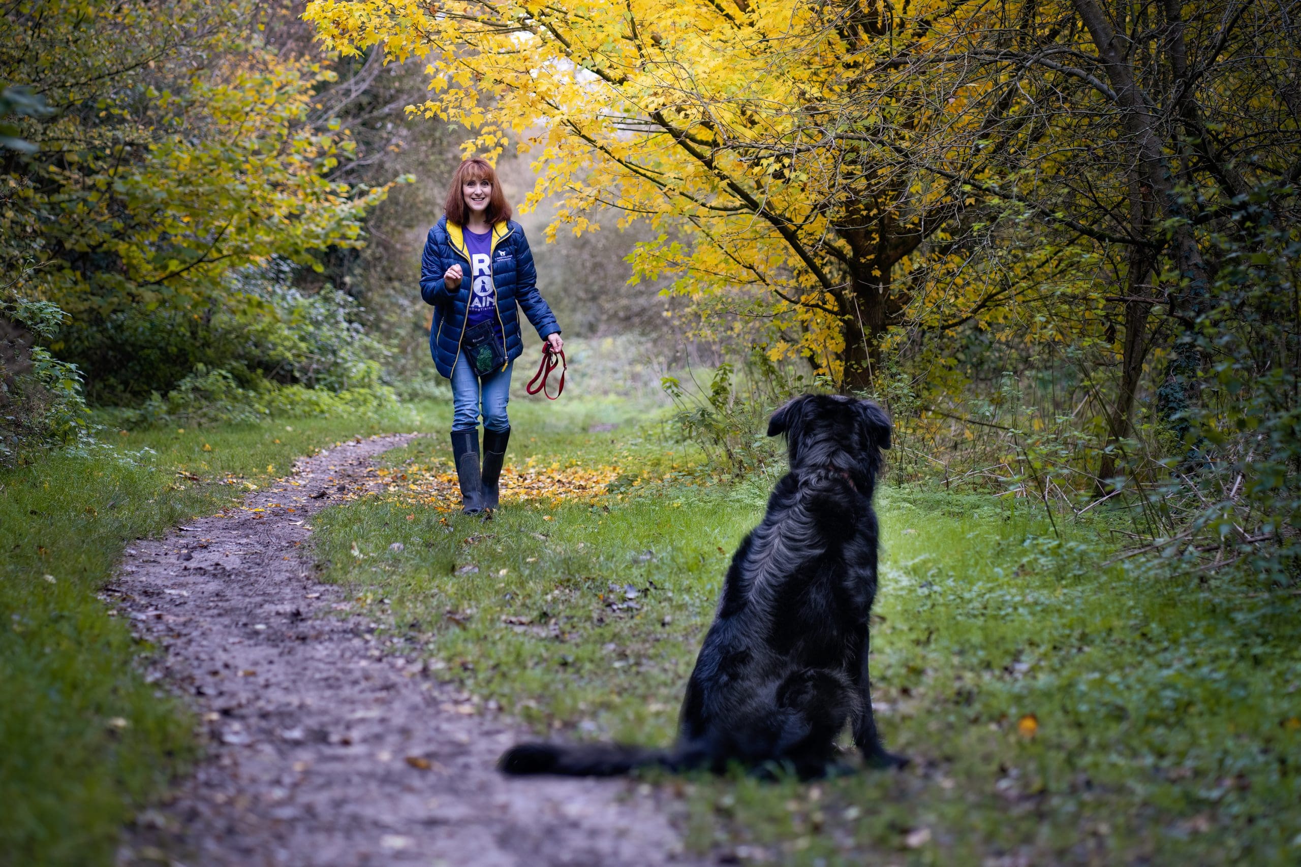 A Pawsitive Step Dog Training & Behaviour - Pet Professional Network